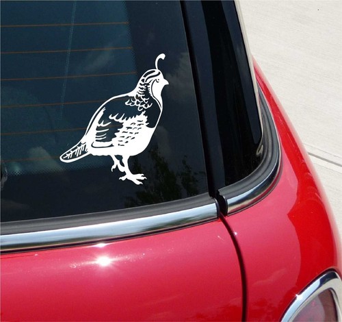 QUAIL QUAILS BIRD HUNTING GRAPHIC DECAL STICKER ART CAR WALL DECOR | eBay