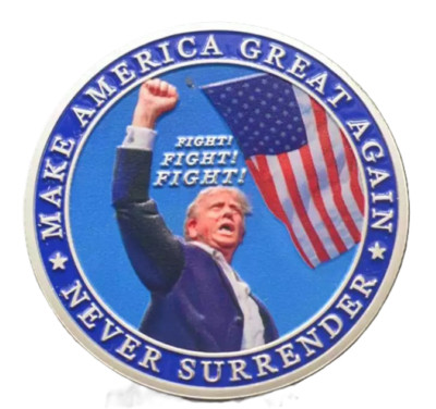 2024 - NEVER SURRENDER President Trump Silver MAGA American ...