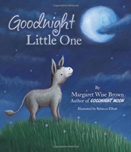 Goodnight Little One Margaret Wise Brown 9781445465814| eBay