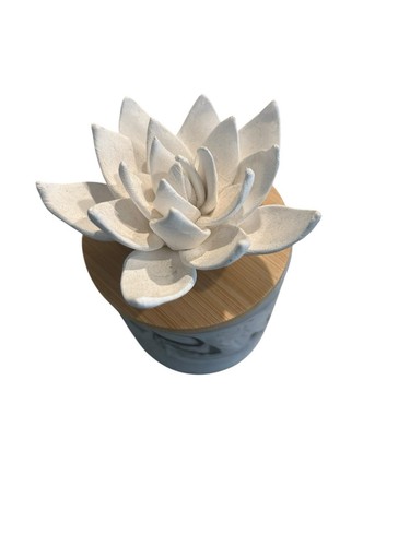ScentSationals Aromatherapy Ceramic Flower Botanical Diffuser Wicking ...