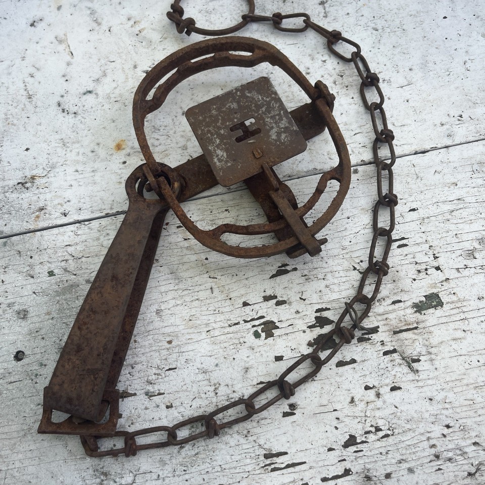 Herters No. 42 Hudson Bay Long Spring Double Cast Jaw Trap | eBay