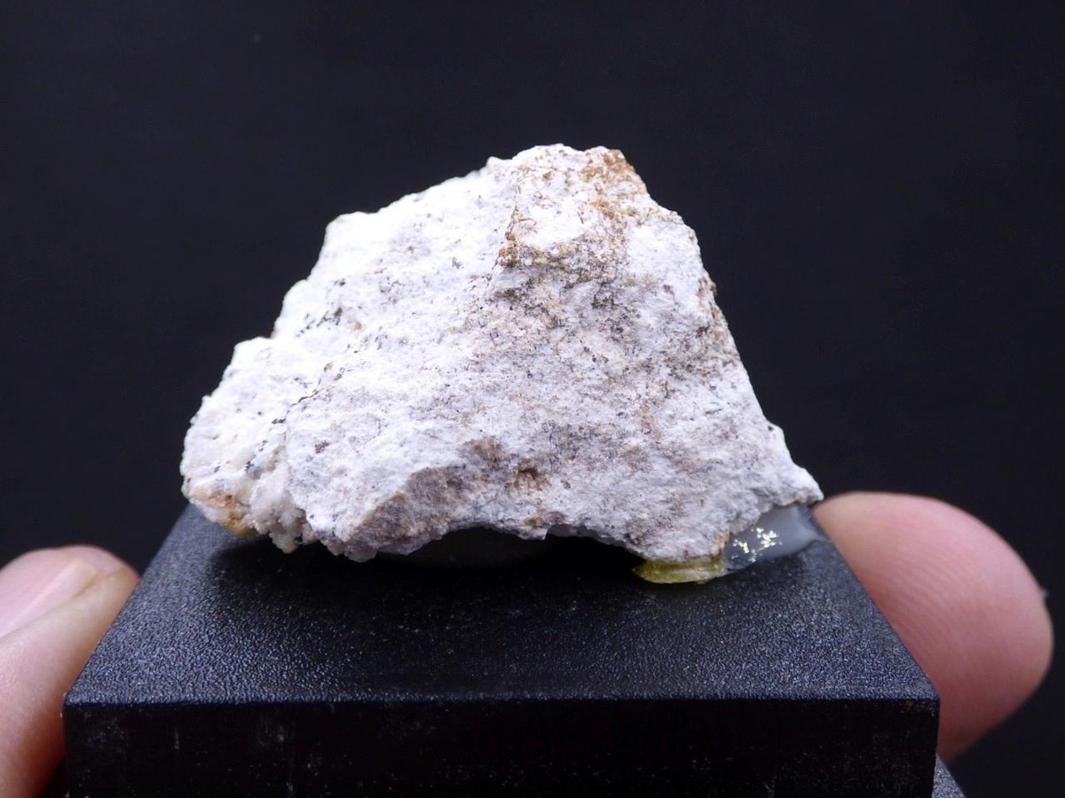Florida Rocks And Minerals Gem Mining In Florida: Unearth Hidden