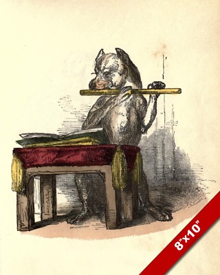 MUSICAL FLUTE PLAYING DOG CANINE ART SKETCH PAINTING PRINT ON REAL ...