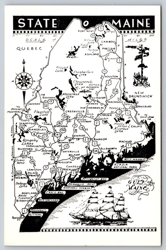 Postcard Maine Road Map of the Pine Tree State Luther S. Phillips | eBay