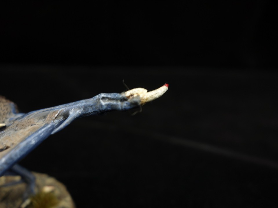 Warhammer Vampire Counts AoS Flesh-Eater Courts - Varghulf (painted oop ...
