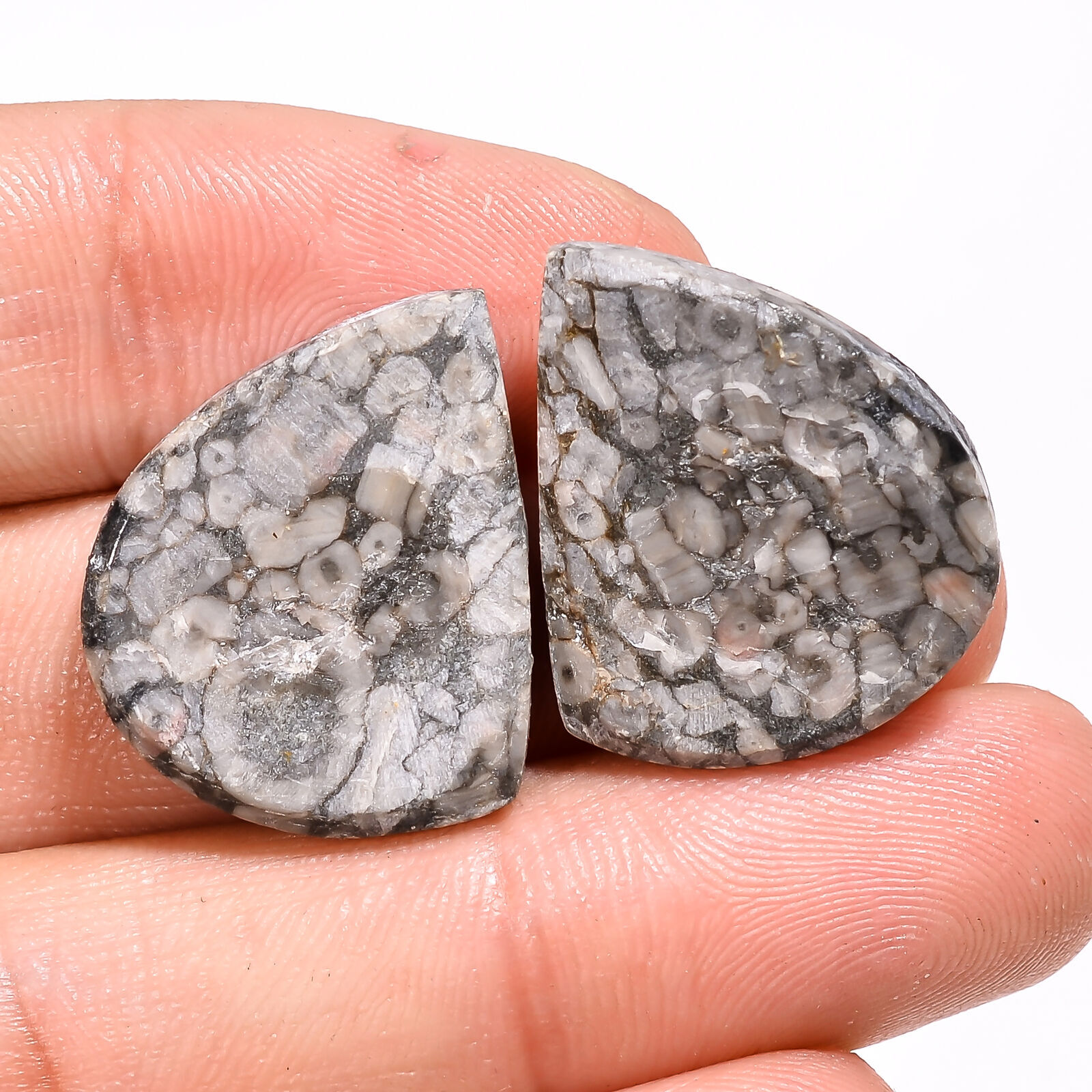 30.50Cts 100% Natural Multi Color Cirnold Fossil Fancy Cab Matched Pair ...