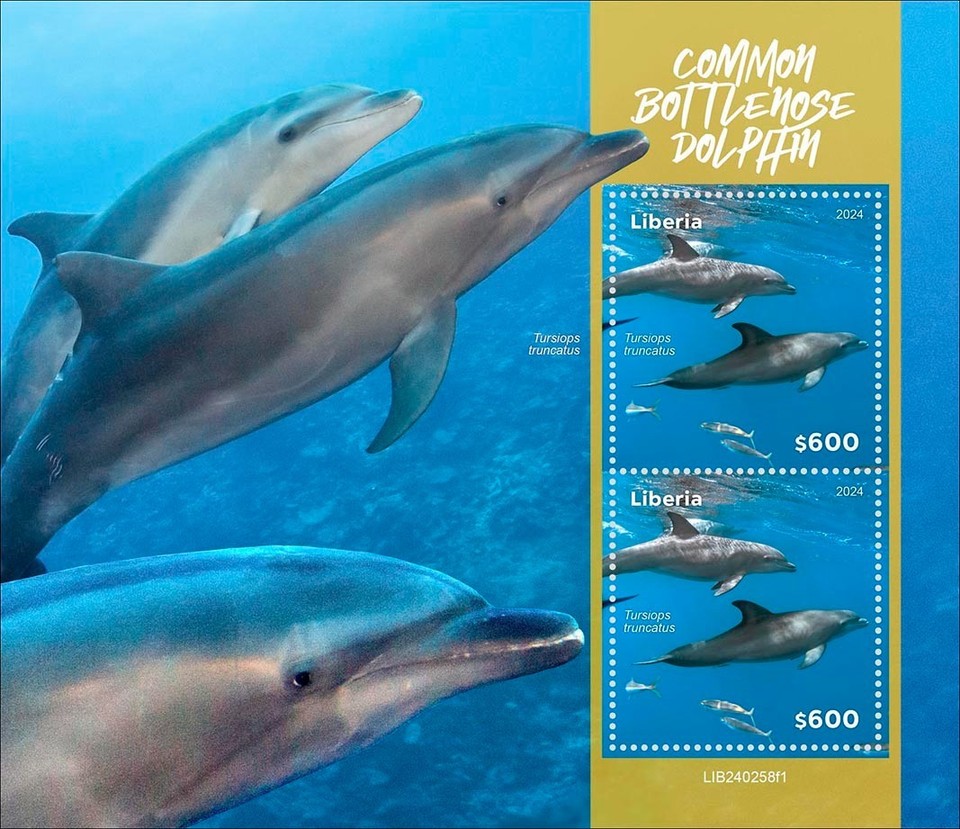 Common Bottlenose Dolphin MNH Stamps 2024 Liberia 2 M/S | eBay