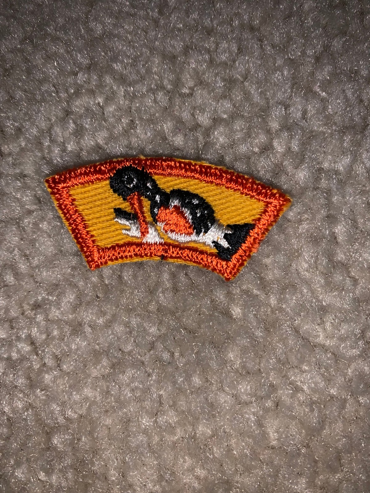 Boy Scout BSA 1961 Segment Duck Peterloon Dan Beard Ohio Kentucky ...