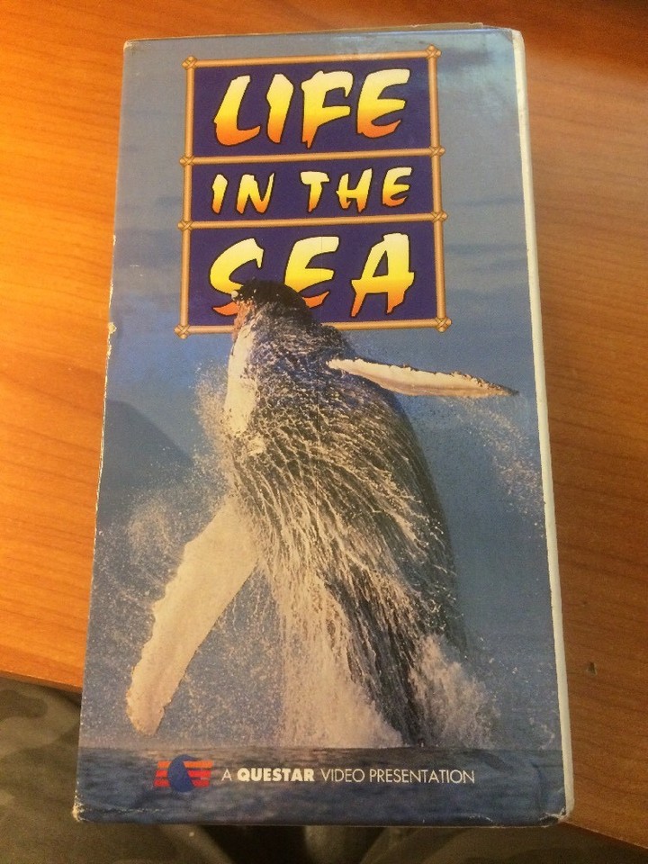Life in the Sea Volumes 1 and 2 (VHS) Sharks, Barracudas, Whales ...