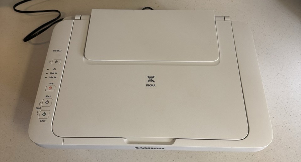 Canon PIXMA MG2522 All-In-One Printer - White | eBay