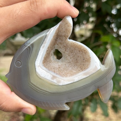 154G Natural Agate Geodes Carved Fish Reiki Crystal Skull Quartz ...