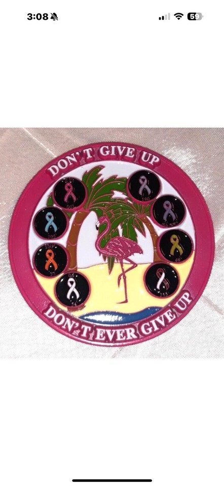 Palm Bay Police Department Challenge Coin Cancer Awareness PBPD Florida ...