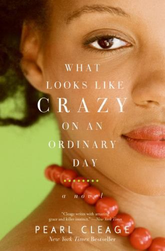 What Looks LIke Crazy on an Ordinary Day by Pearl Cleage (2009, Trade ...