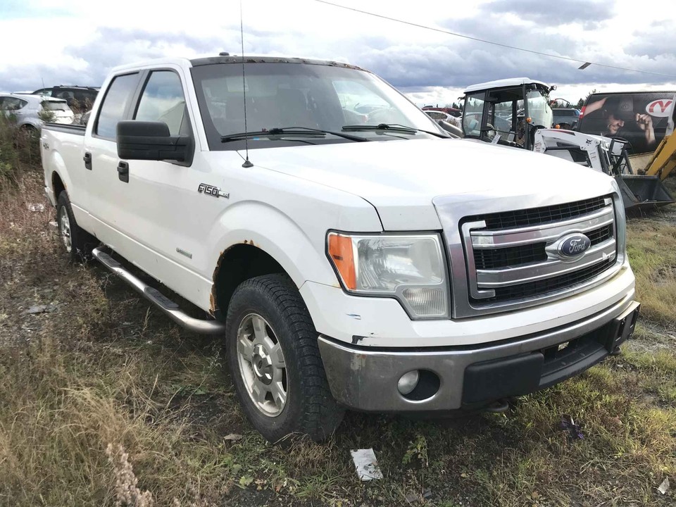 Used Front Suspension Strut fits: 2014 Ford F150 PICKUP Front 4x4 6 lug ...