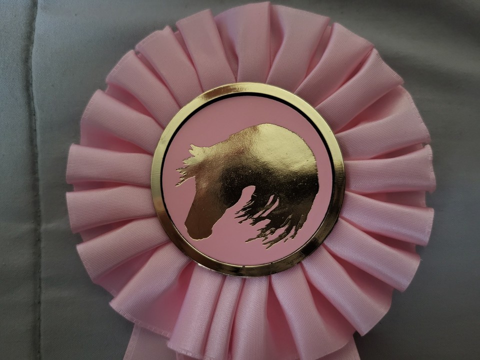 5th Place Pink Flowing Mane Horse Show Ribbons Awards Equestrian Events ...