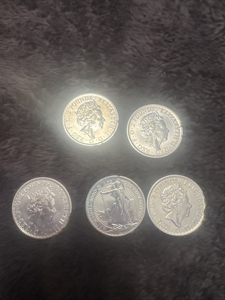 2020 Britannia mint Condition Always Kept In purchased Tub | eBay UK