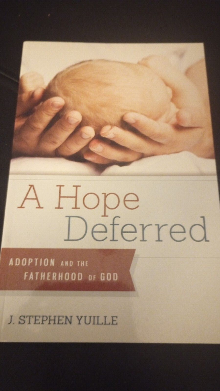 A Hope Deferred - Perfect Paperback By Stephen J Yuille - Excellent ...