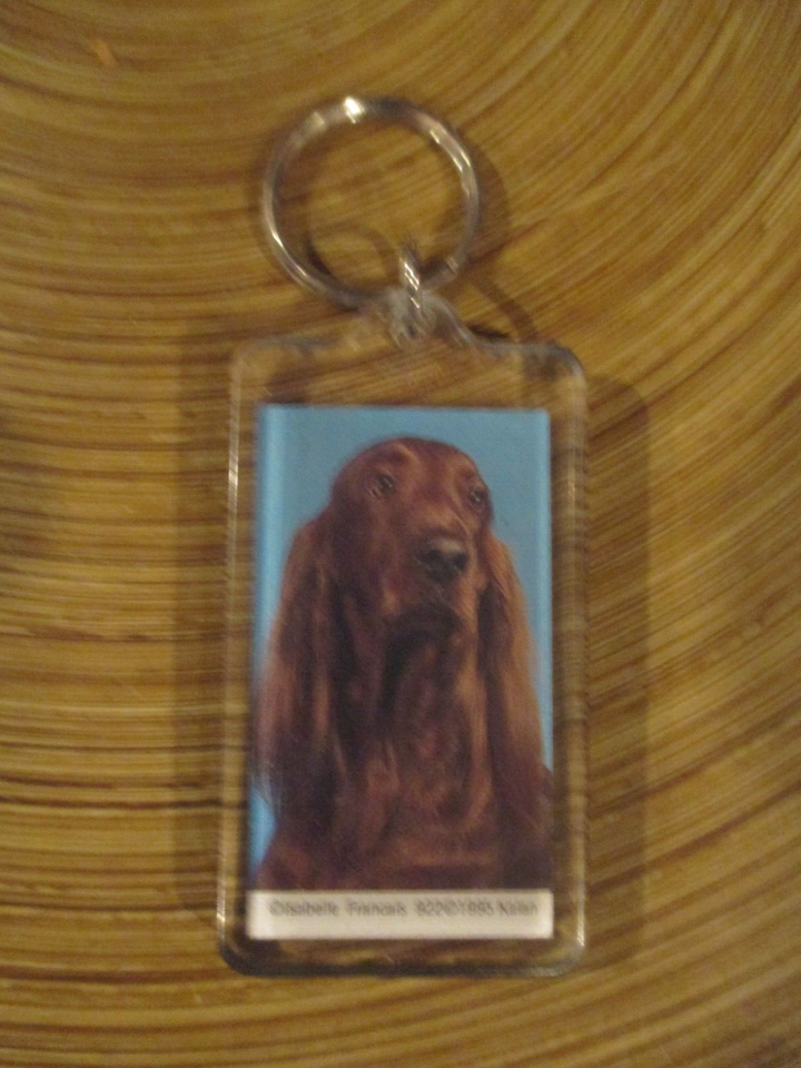 1995 Irish Setter Key chain key ring | eBay