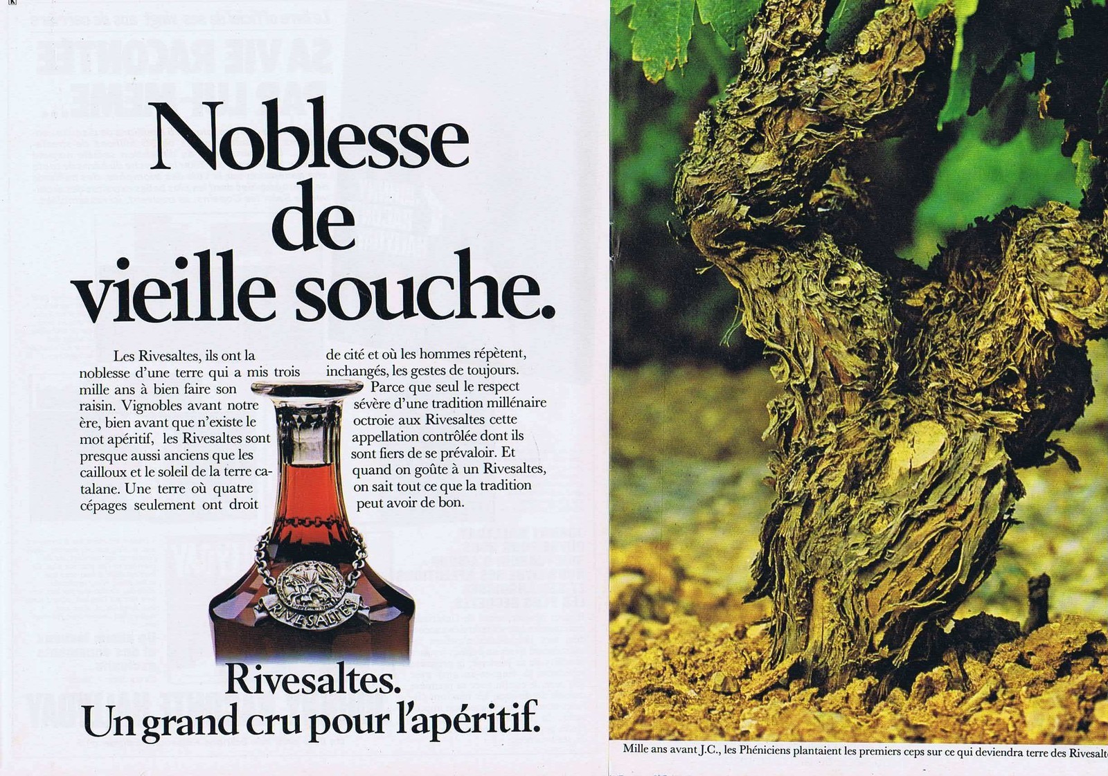 PUBLICITE ADVERTISING 114 1979 RIVESALTES muscat apéritif (2 pages) | eBay