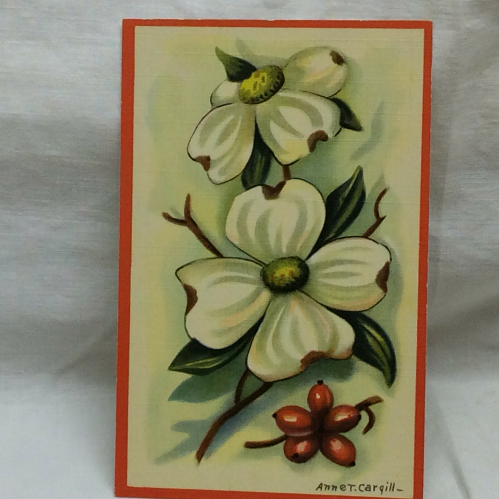 Vintage Postcard Annet Cargill Floral Dogwood Motif Scene | eBay