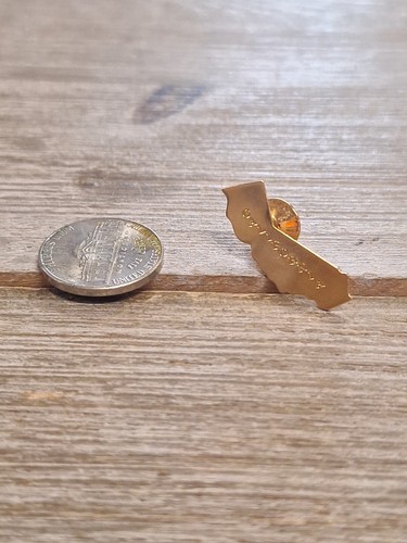 Vintage Avon Gold Tone State of California Tac Pin | eBay
