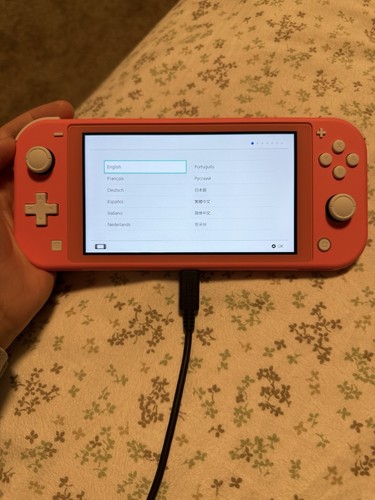 Nintendo Switch Lite | eBay