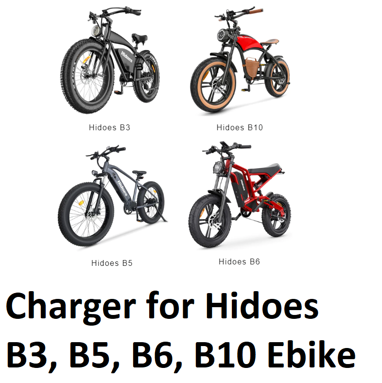 🔥Charger for Hidoes B3, B5, B6, B10 electric bike | eBay