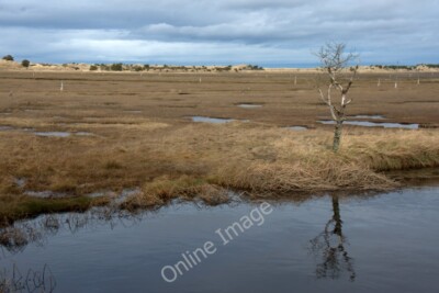 Photo 6x4 Saltmarsh inland of Culbin Bar Cloddymoss The line of dunes ...