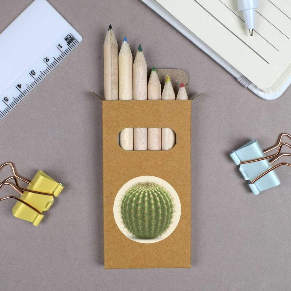 6 x 'Round Cactus' Short 85mm Pencils / Coloured Pencil Set (PE00074214 ...