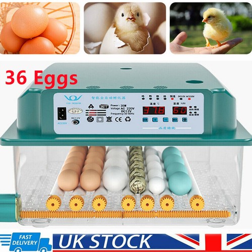 36x Egg Digital Incubator Hatcher Temperature Control Fully Automatic ...
