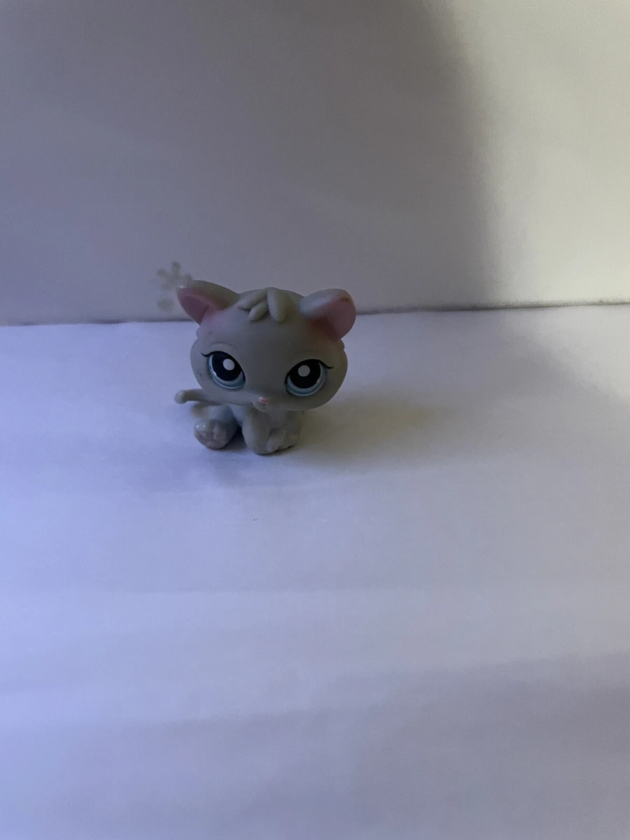 Gray Baby Kitten With Green Eyes