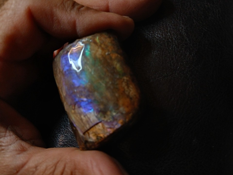 Rare Deeply Colored/Baculite/Ammolite/opalized Brilliant/iridescent/gem ...