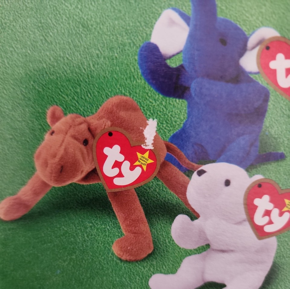 TY beanie babies Humphrey the camel. 2 tag errors!! 1 on box and 1 on ...