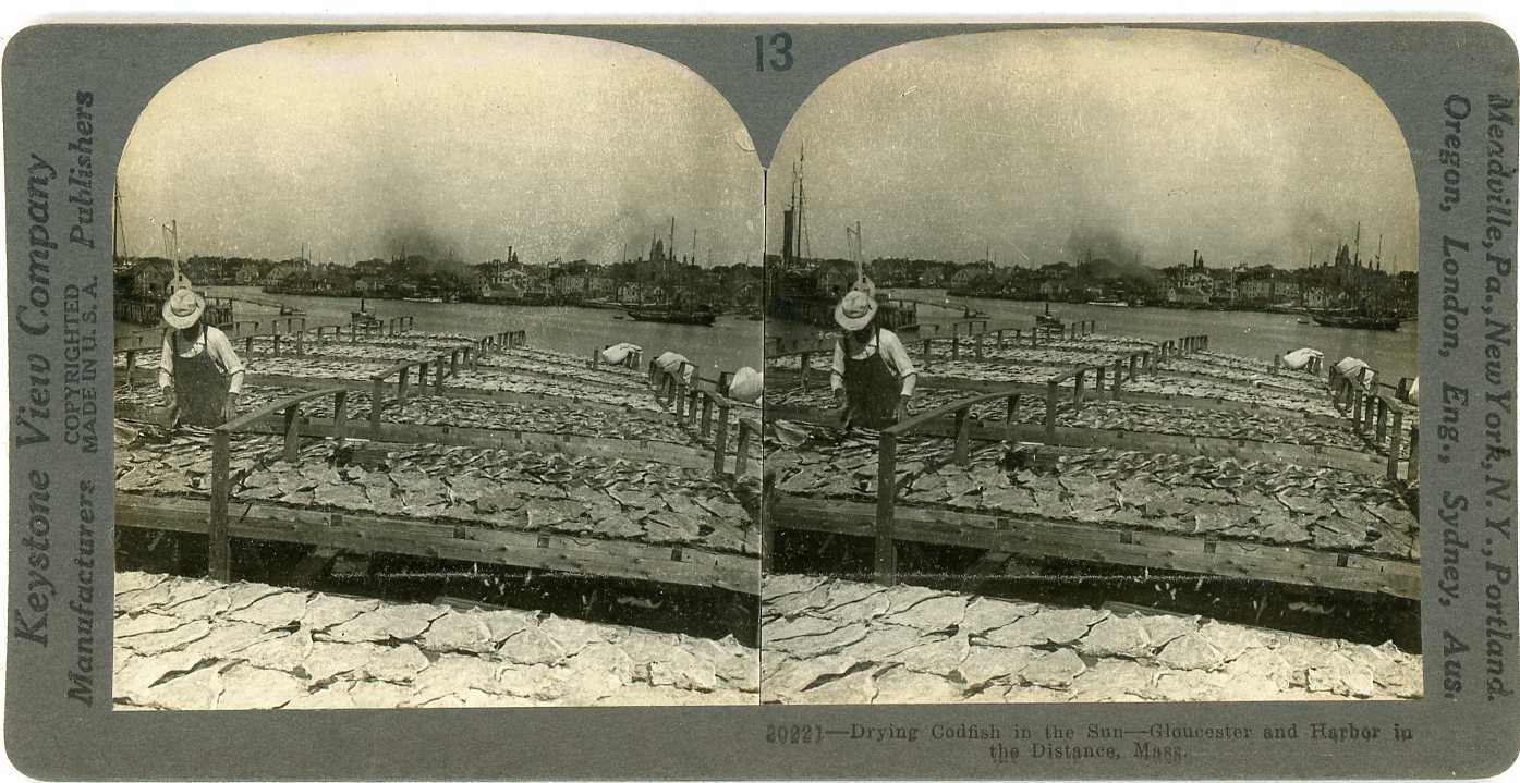 Massachusetts GLOUCESTER Drying Cod Fish On Platforms Stereoview 20221 ...