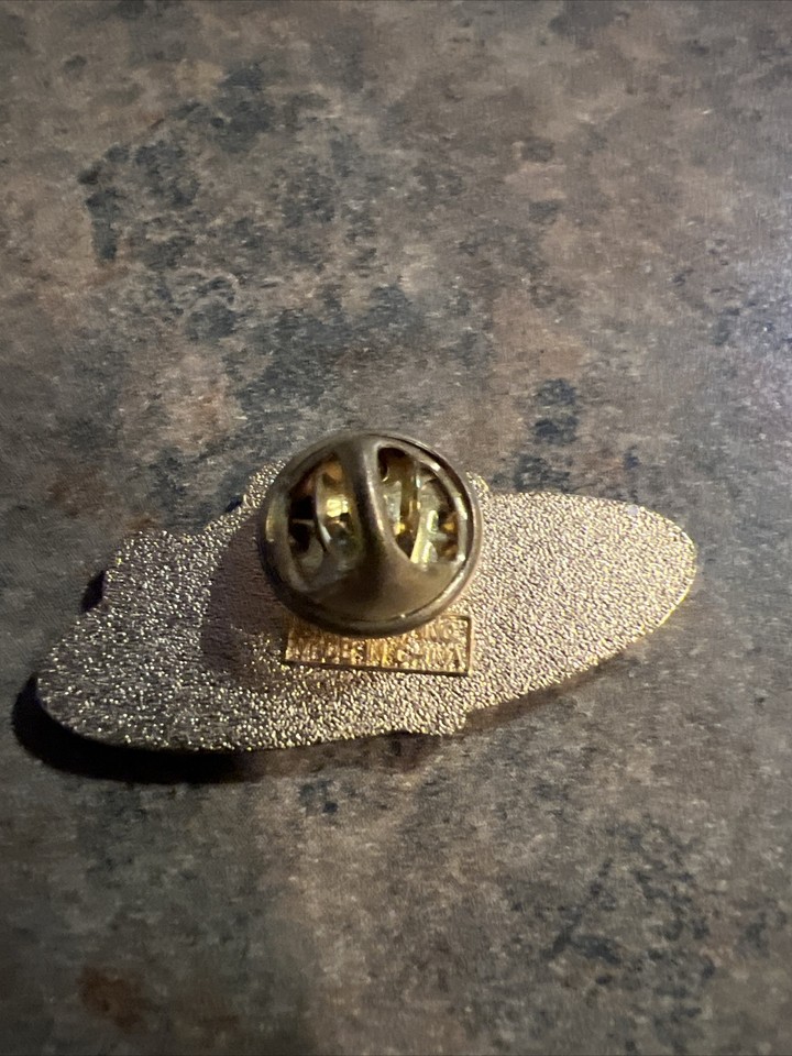 NASCAR WINSTIN CUP SERIES GOLD COLOR PIN | eBay