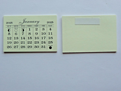 2025 MINI MONTHLY TEAR OFF QUALITY PEEL & STICK CALENDAR PAD BACK CARD ...