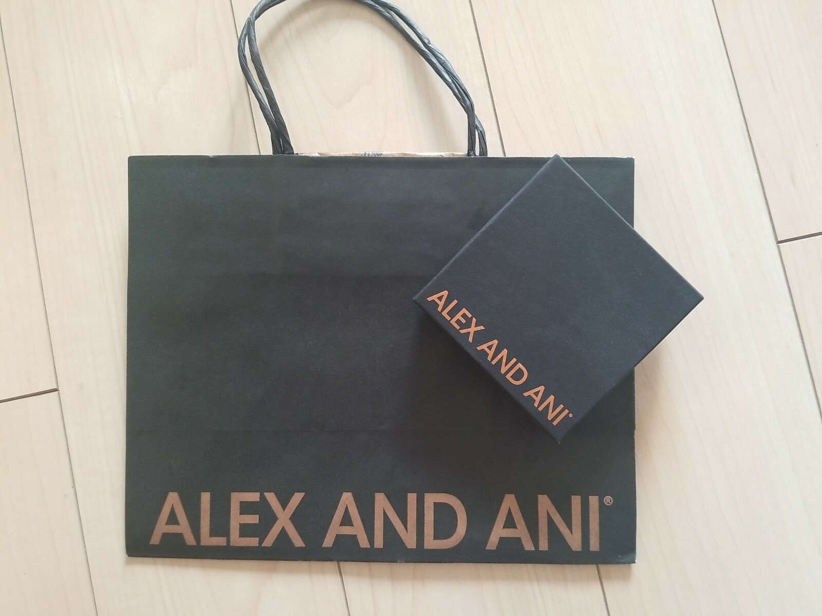 ALEX AND ANI PAPER SHOPPING BAG and Giftbox | eBay