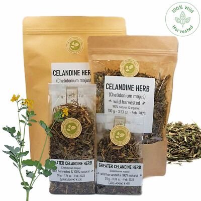 GREATER CELANDINE Herb Dried Organic Wild Harvested Chelidonium majus ...