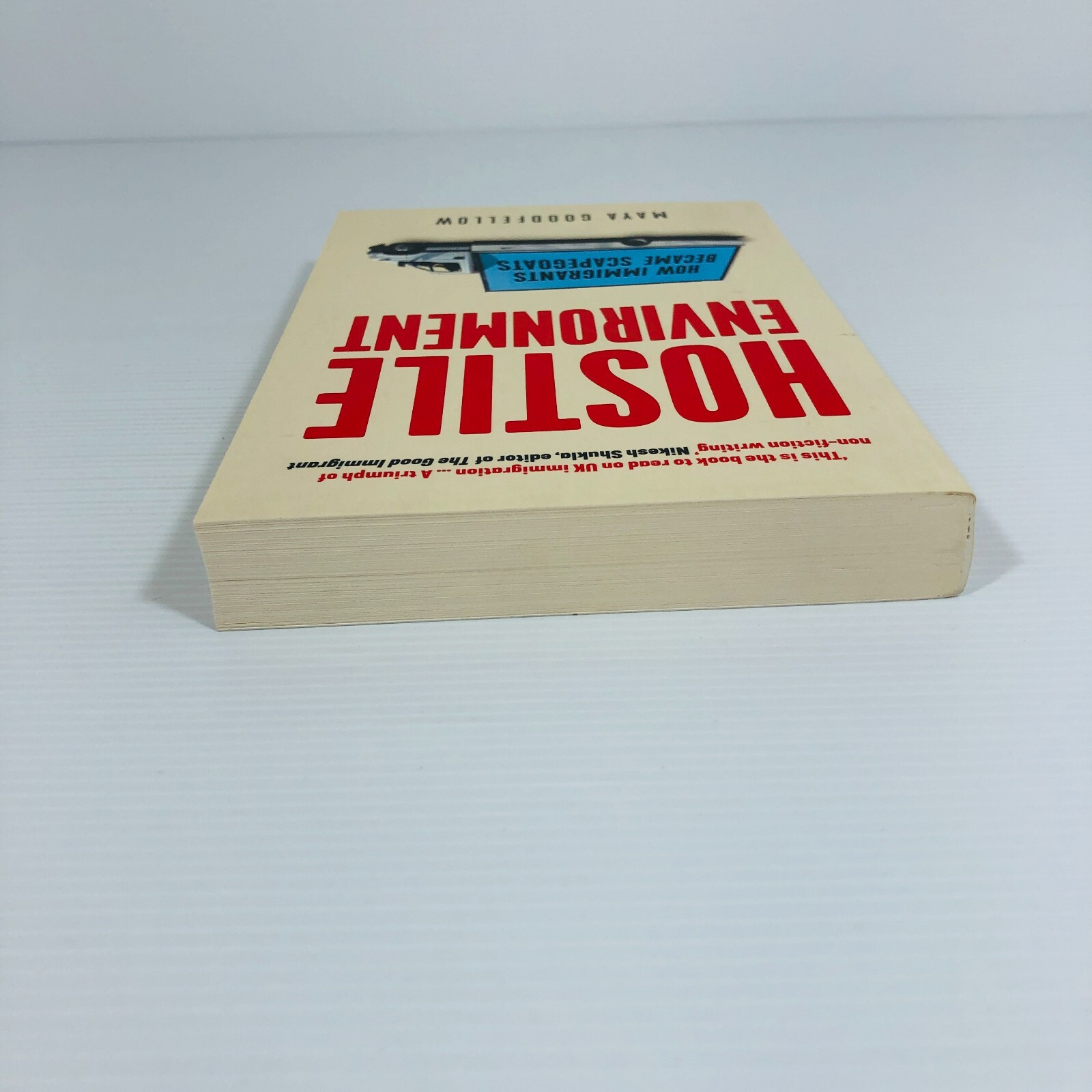 Hostile Environment Paperback Book by Maya Goodfellow Politics History ...