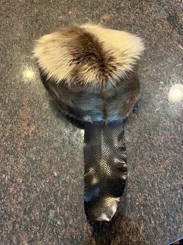 Beaver Fur Mountain Man Hat WITH TAIL Silk Lining Size L Real Beaver ...