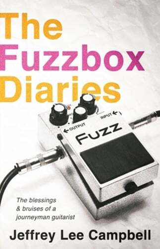 The Fuzzbox Diaries: the blessings and bruises of a journeyman ...