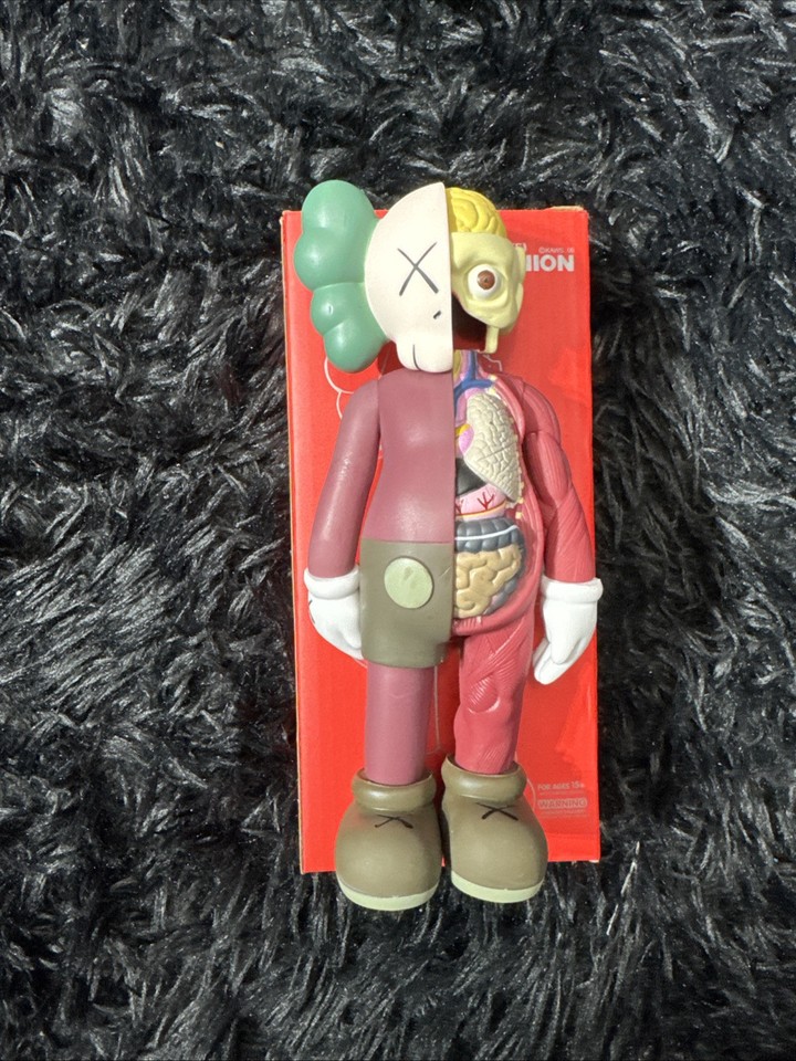 For Kaws 8" Figure Companion Anatomy. SAME DAY SHIPPING | eBay