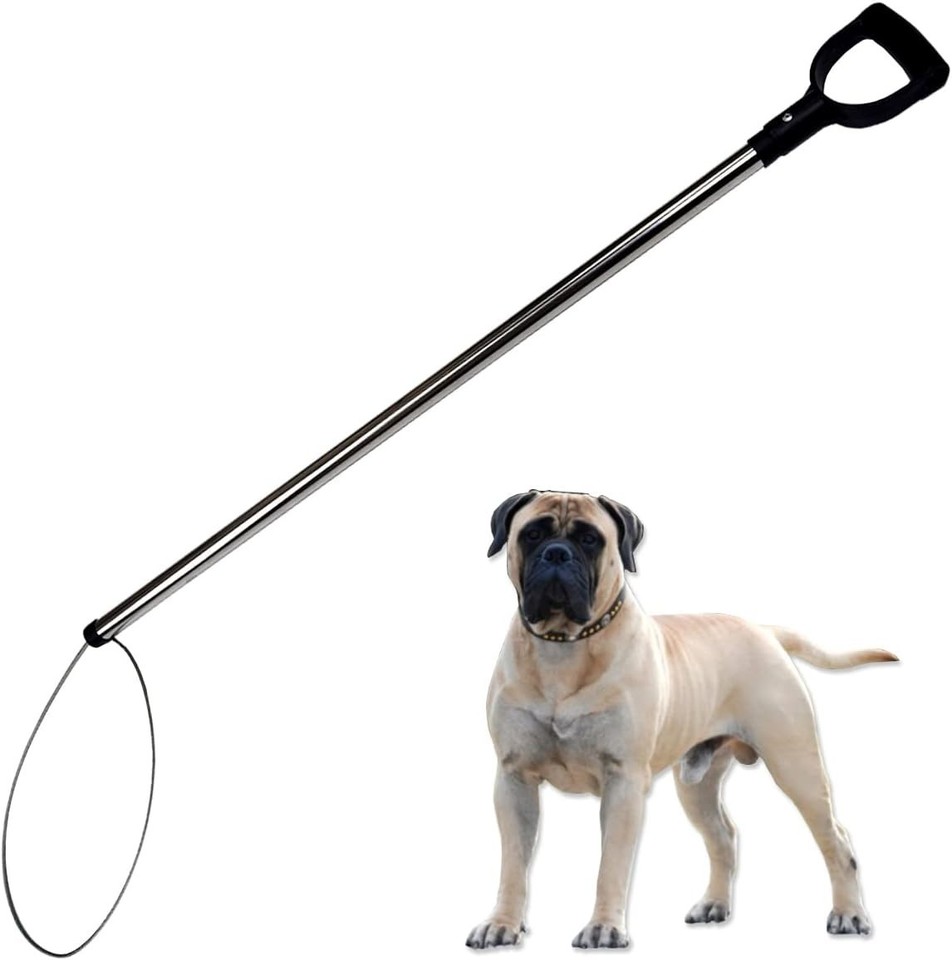 Animal Catch Pole Control Tool Kit for Hog Dog Pig Fox -44 inch | eBay