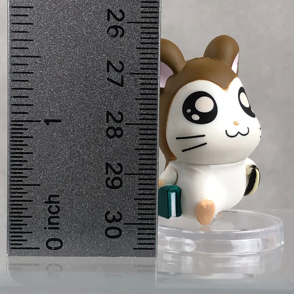 Hamtaro Maxwell