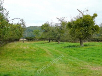 Photo 6x4 Old orchard at Great Washbourne Looking east towards ...