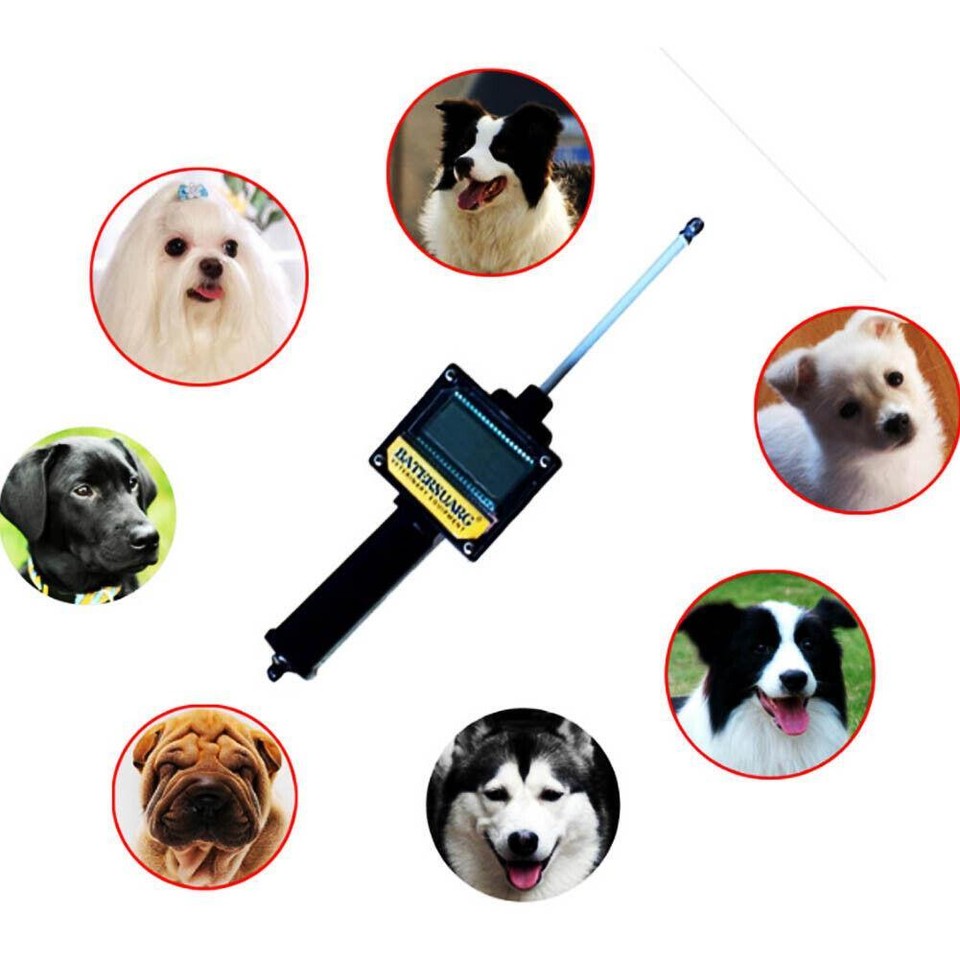 Dog Ovulation Detector Tester For Pregnancy Planning for Canine Mating ...