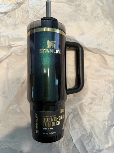 IN-HAND NEW Stanley x Wicked Elphaba for Good 30oz FlowState Tumbler ...