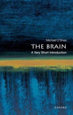 The brain - Michael O'Shea | eBay