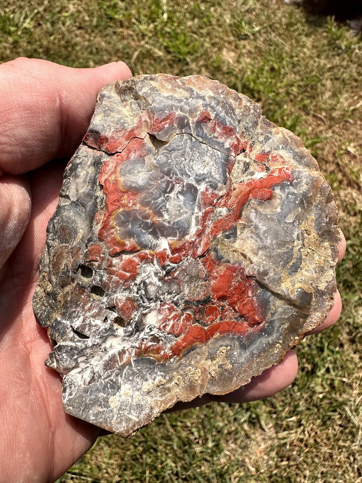 Exceptional__Large Natural Rare Imperial Kentucky Agate Rough from ...
