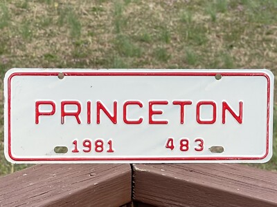 NOS Princeton North Carolina License Plate 1981 #483 NC City Plate | eBay